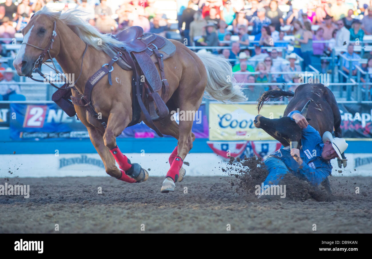 Cowboy wrestling steer hi-res stock photography and images - Alamy