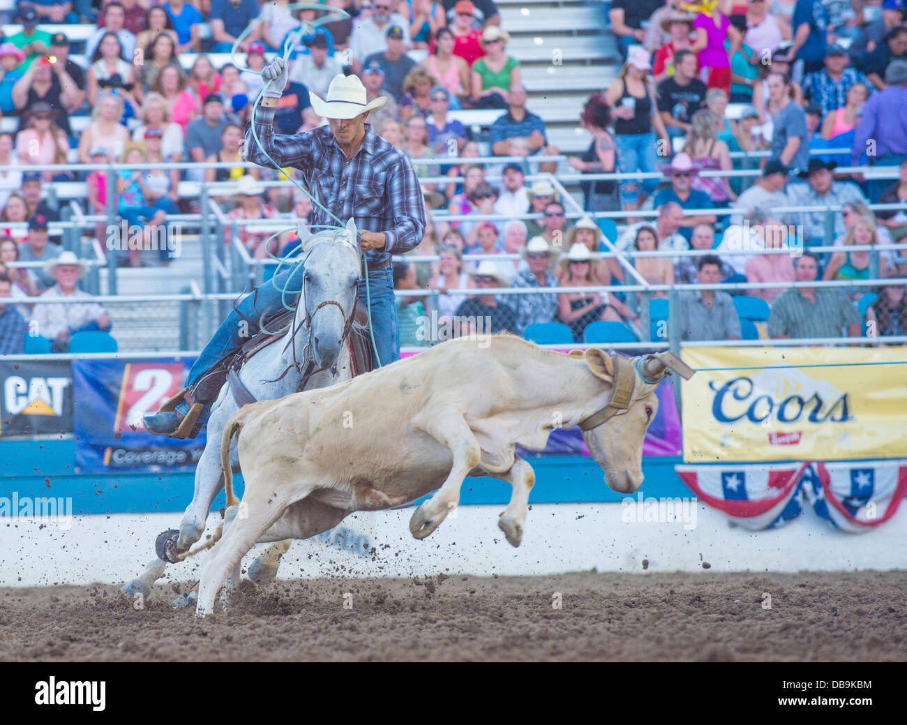 Reno rodeo hi-res stock photography and images - Alamy