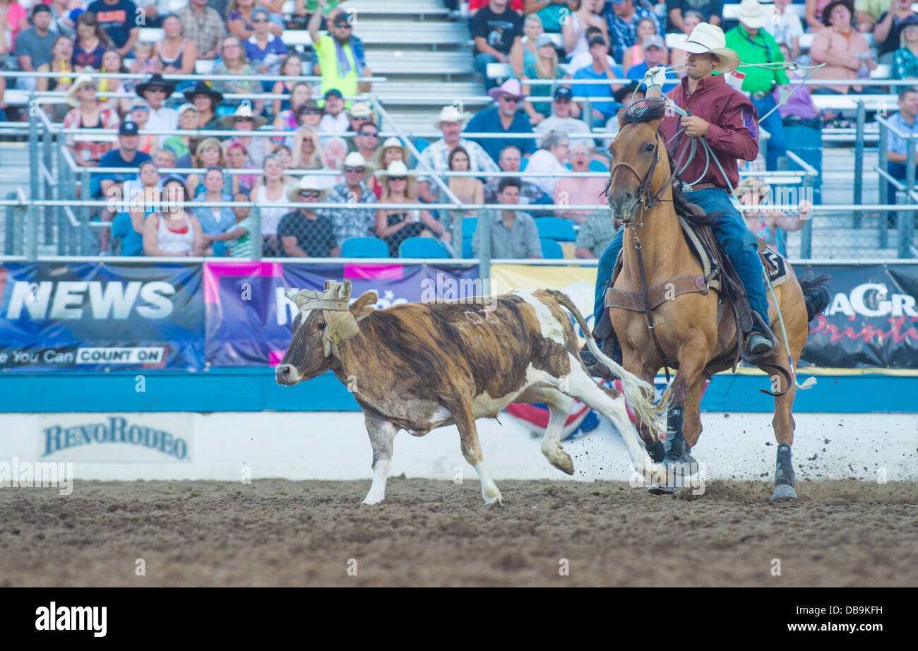 Cowboy Participant in a Calf roping Competition at the Reno Rodeo ...