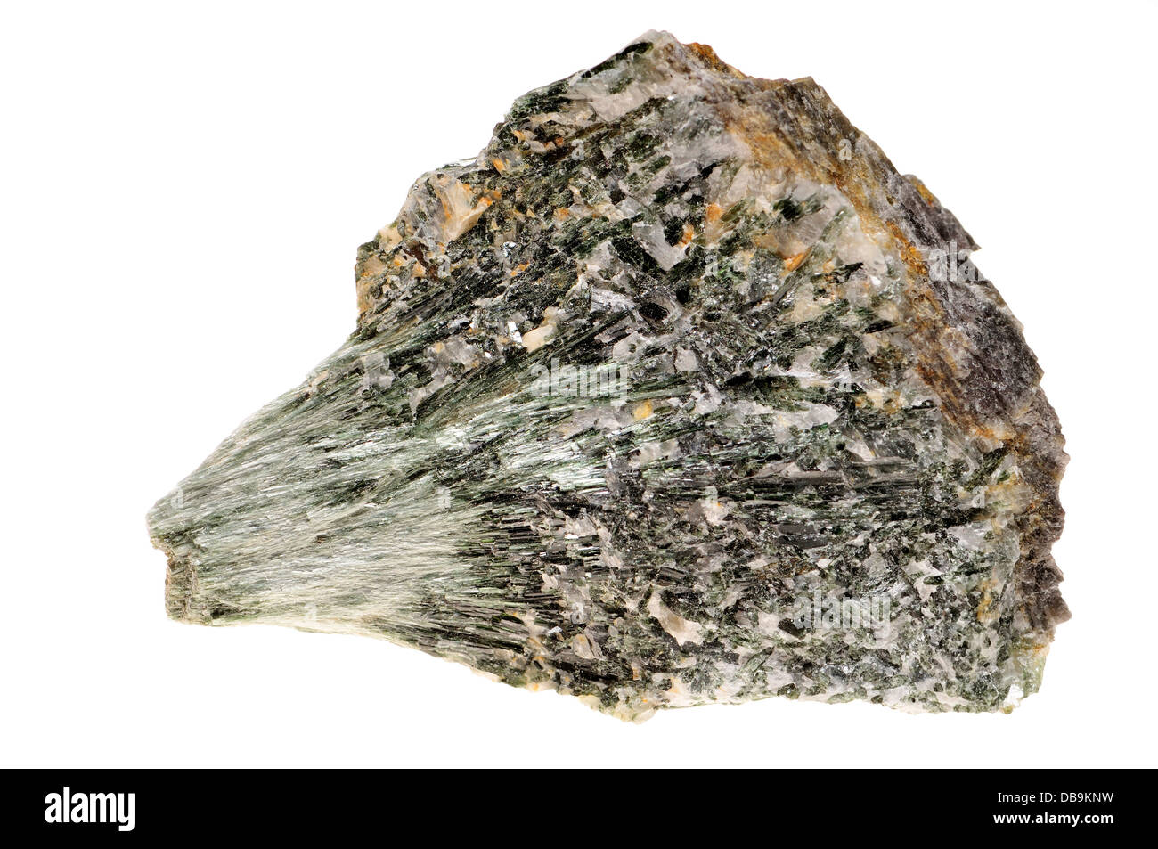 Polished Actinolite