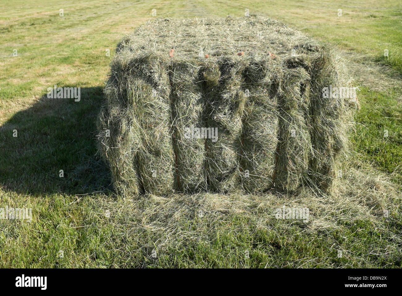 Hay cube hi-res stock photography and images - Alamy