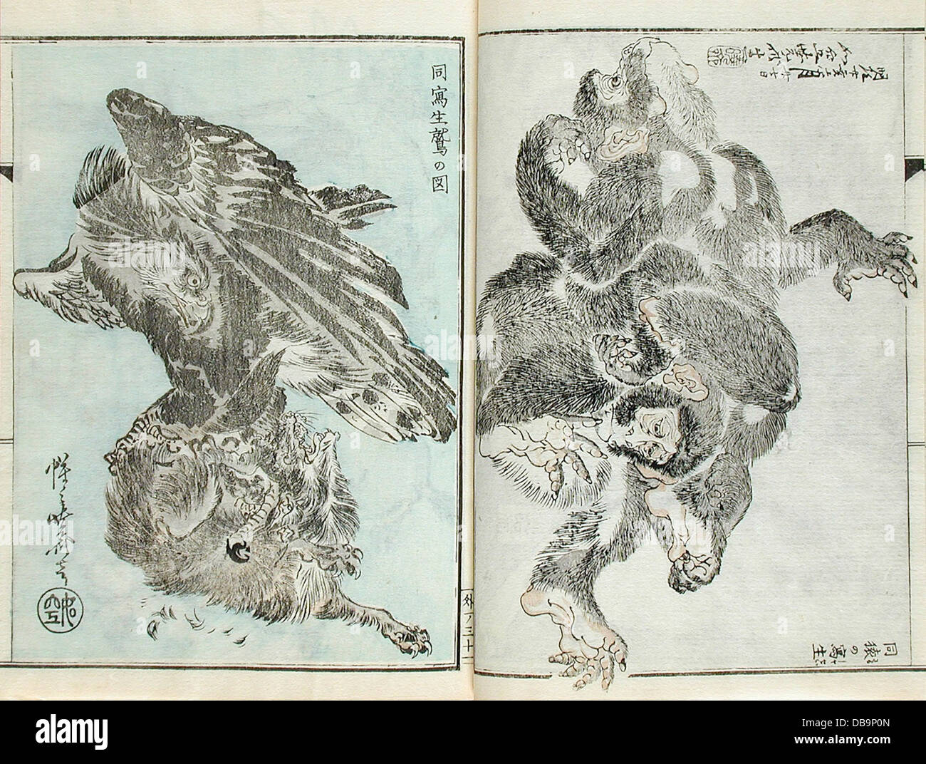 These pictorial accounts feature visual representations of historical ...