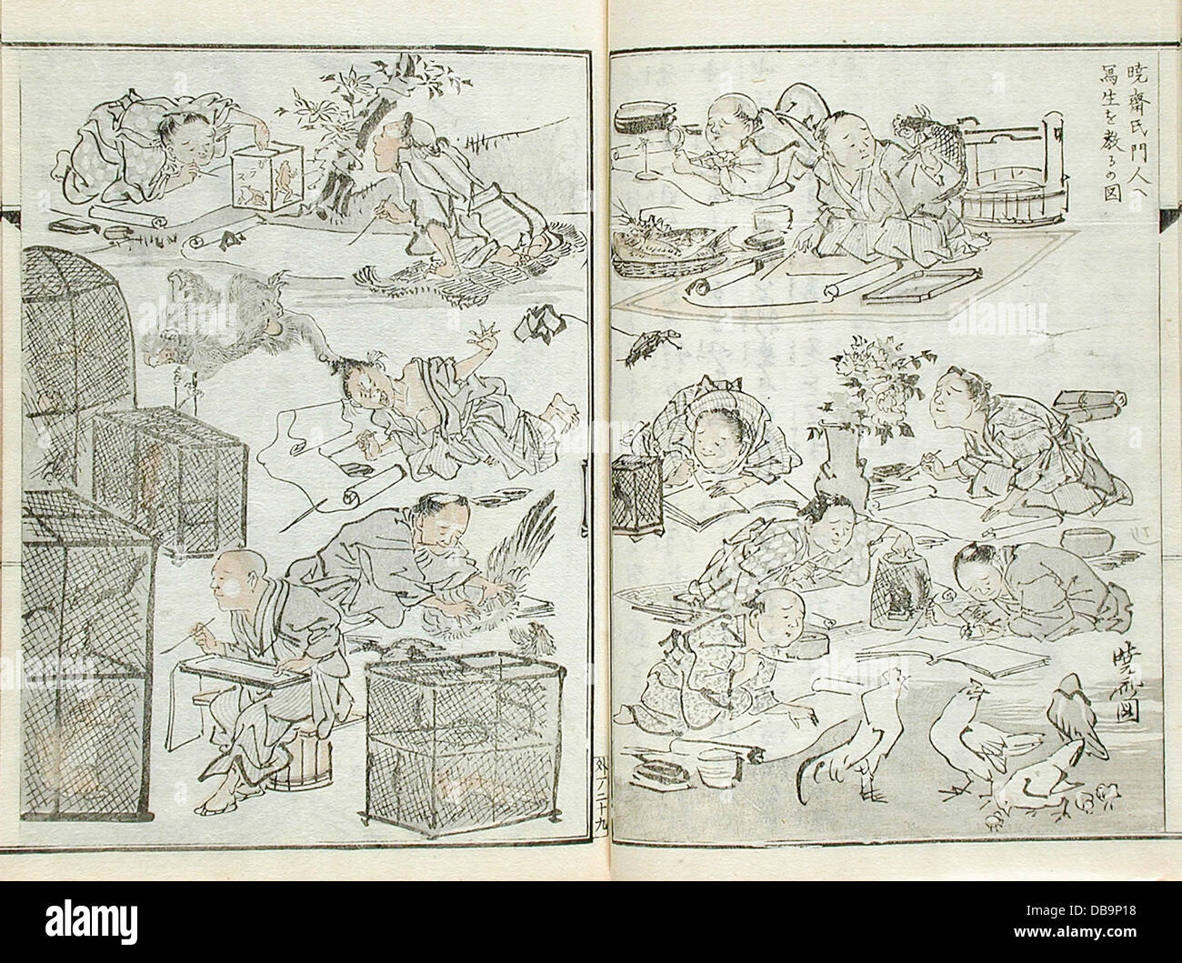 This collection of pictorial accounts showcases visual storytelling ...