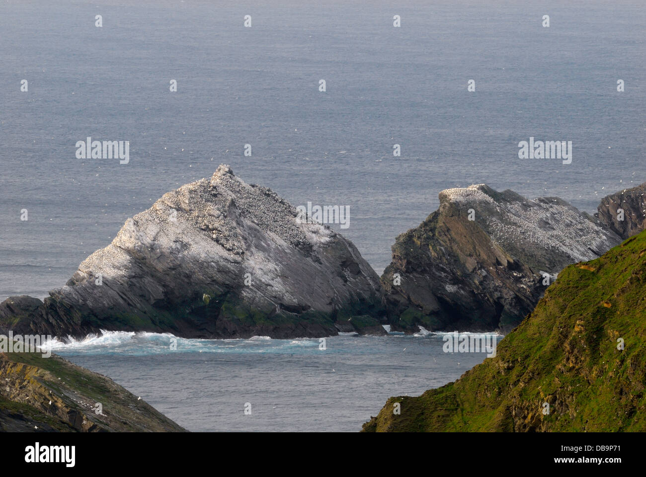 Unst Hermaness National Nature Reserve High Resolution Stock ...