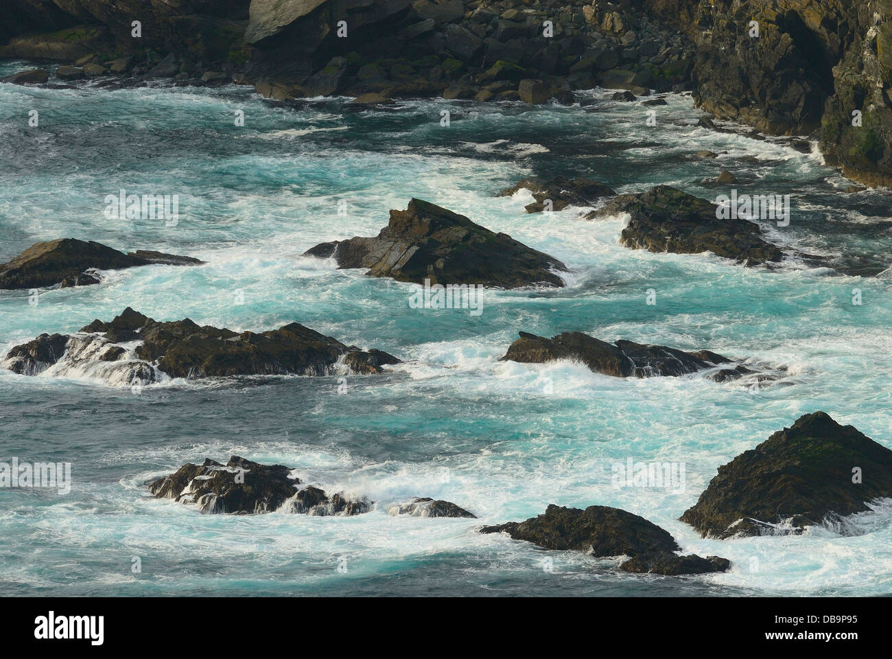 Hermaness National Nature Reserve High Resolution Stock Photography and ...