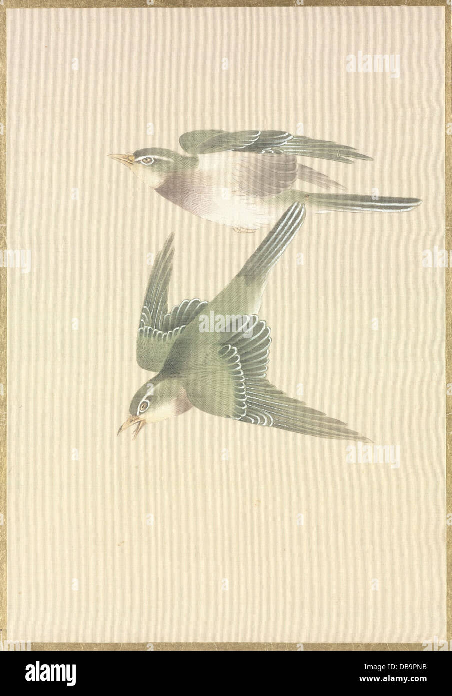 A series of artworks depicting flowers and birds, showcasing delicate ...