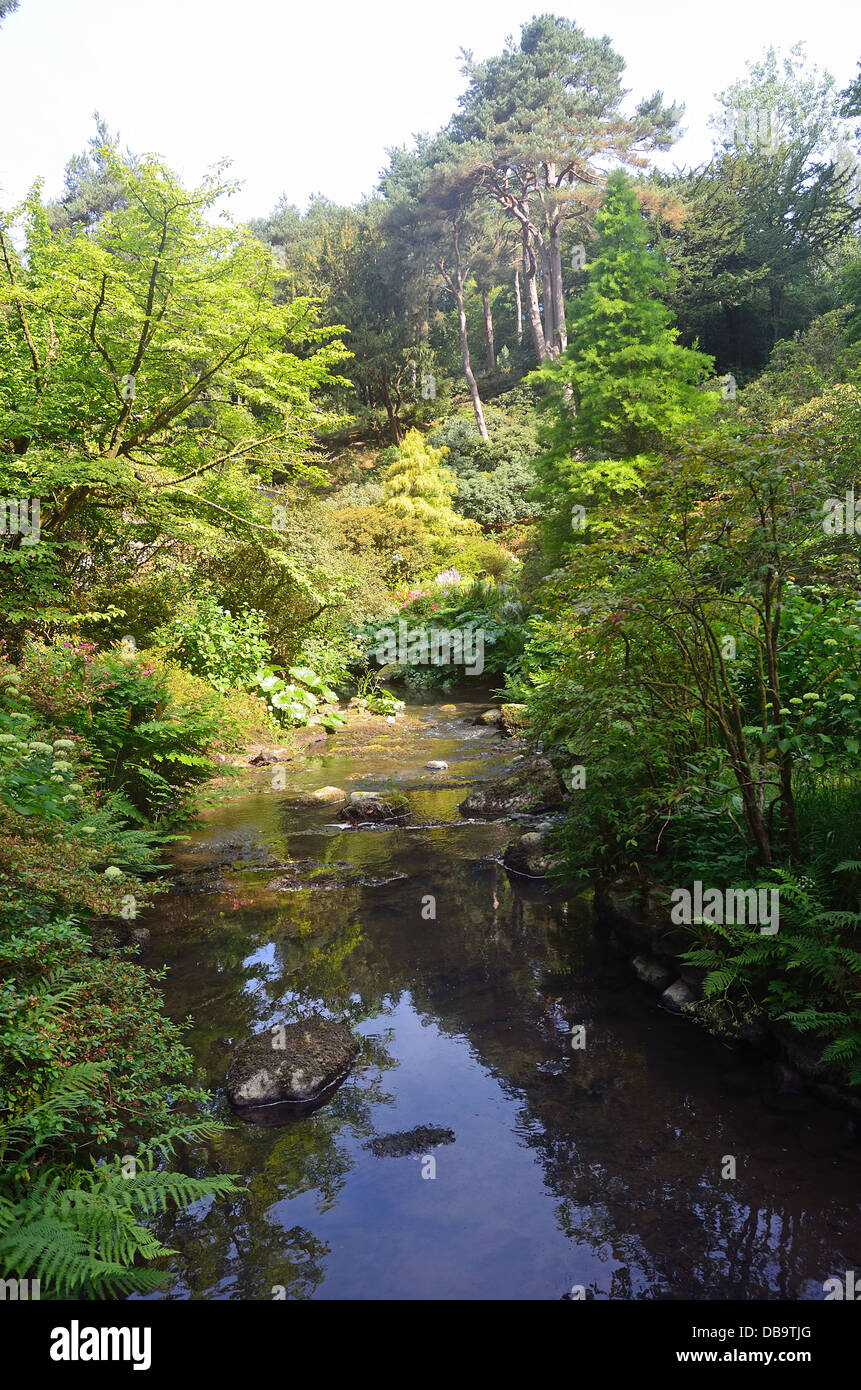 Woodland river scene trees hi-res stock photography and images - Alamy