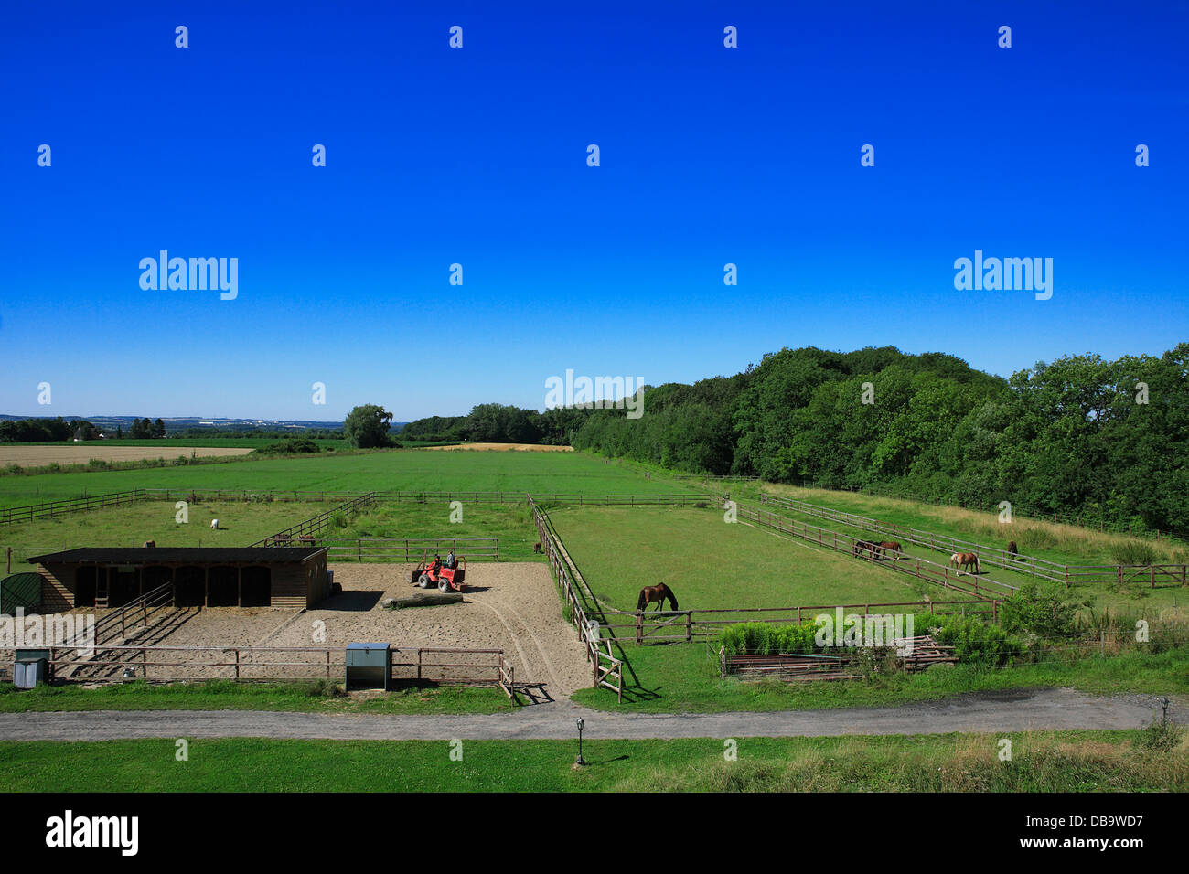 Horse farm germany hi-res stock photography and images - Alamy