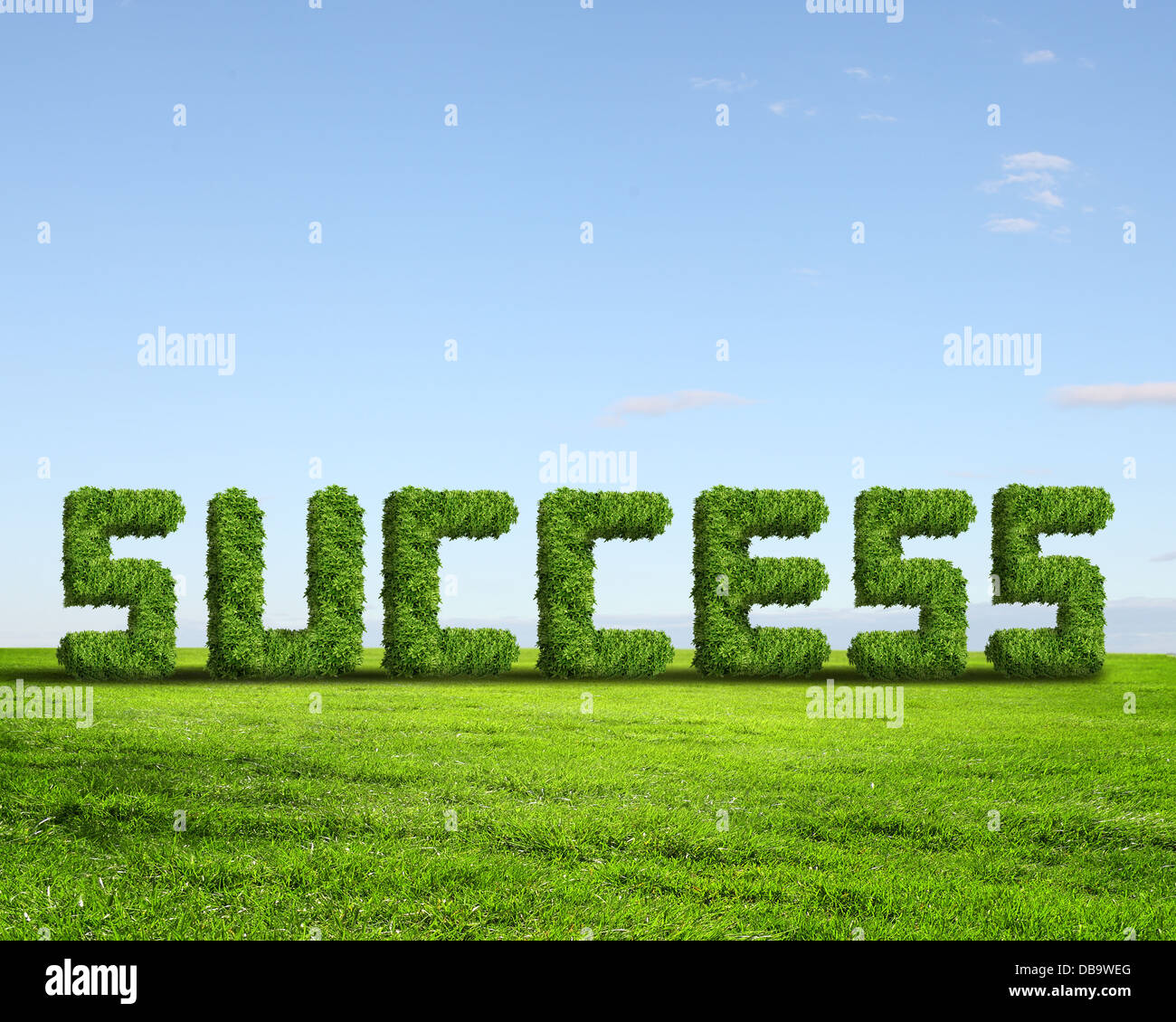Green grass word success Stock Photo - Alamy