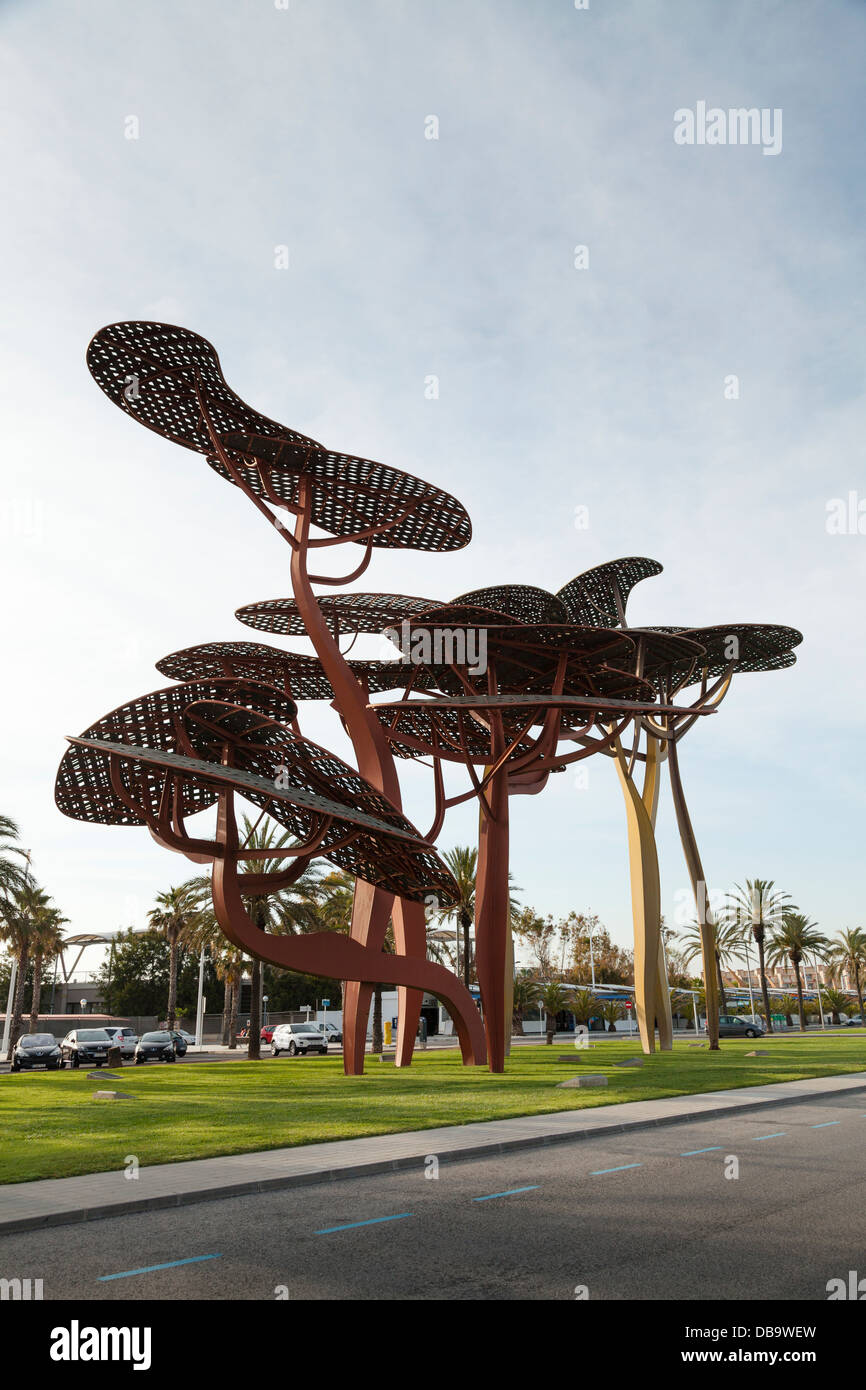 Pine promenade hi-res stock photography and images - Alamy