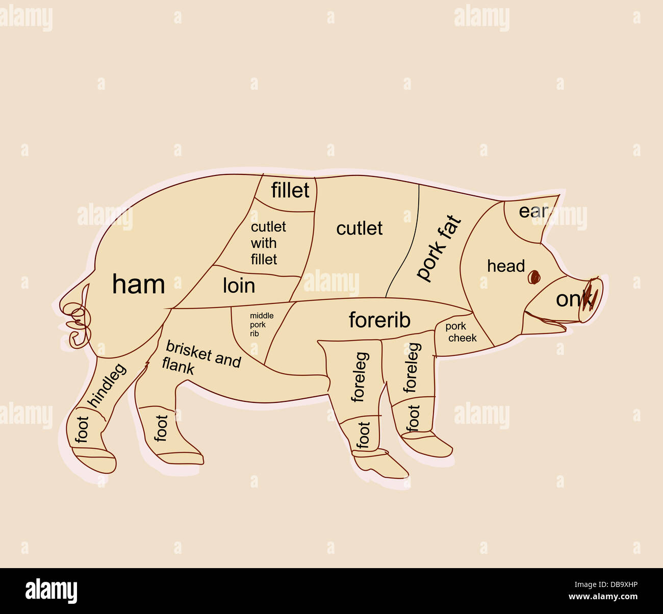 Vector pork chart Stock Photo - Alamy
