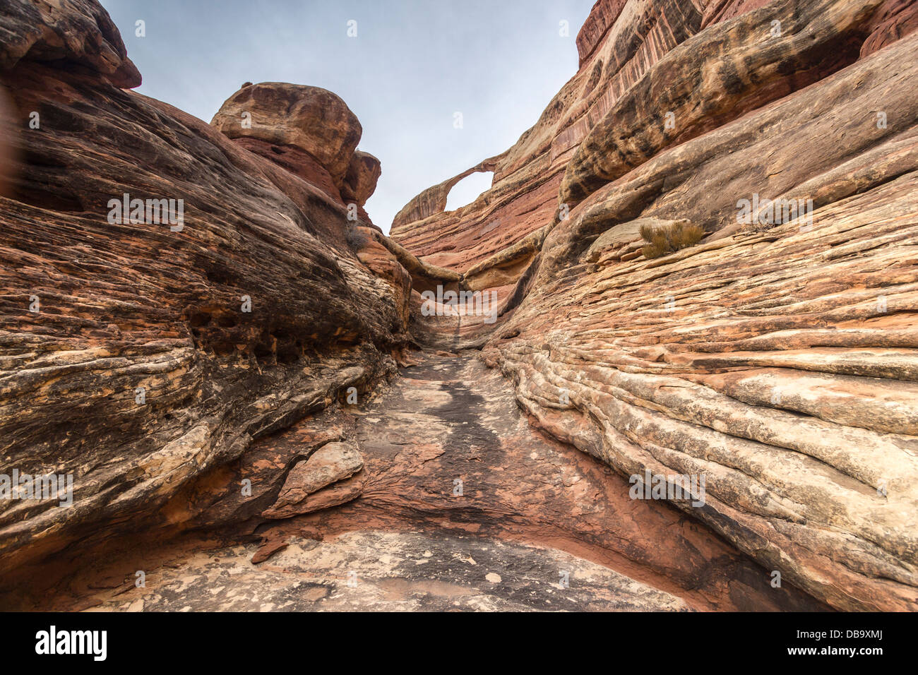 Castle arch hi-res stock photography and images - Alamy