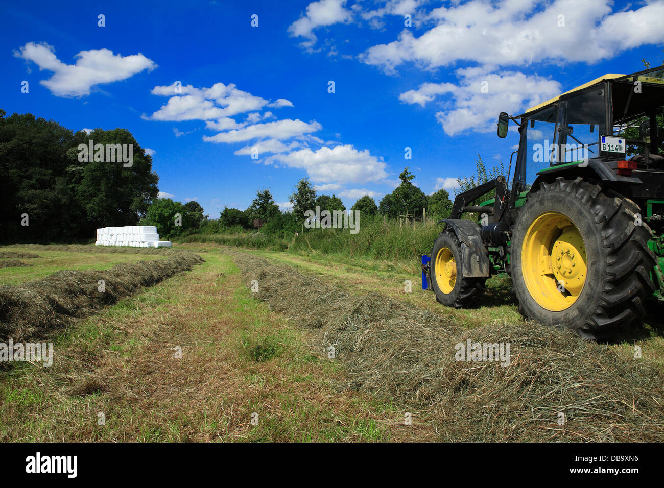 tractor with stacked silage bale and windrow on a farm germany, europe ...