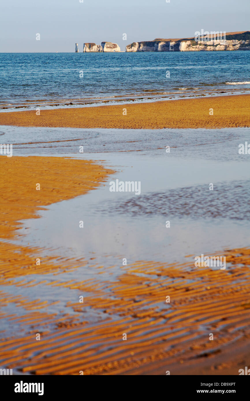 low tide at Studland shows the sand ripples on the beach with Old Harry ...