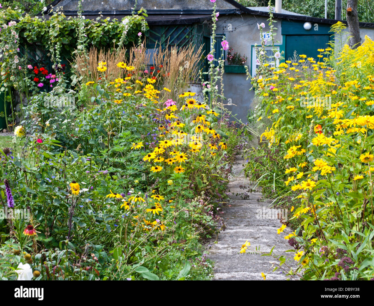 Hollyhock house hi-res stock photography and images - Alamy