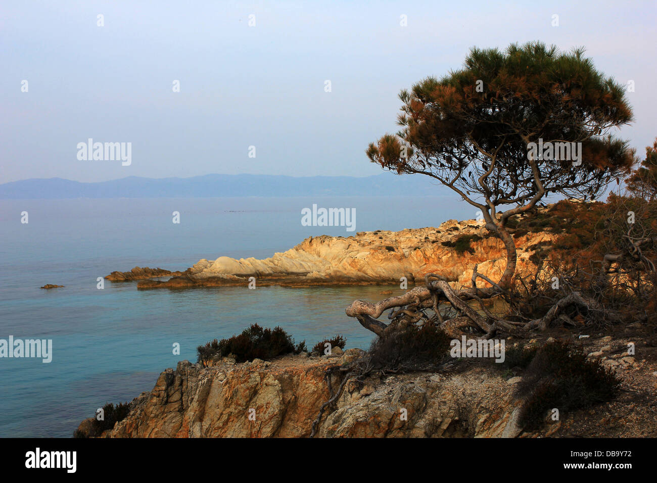 The famous Kavourotripes beach in Chalkidiki Greece Stock Photo - Alamy