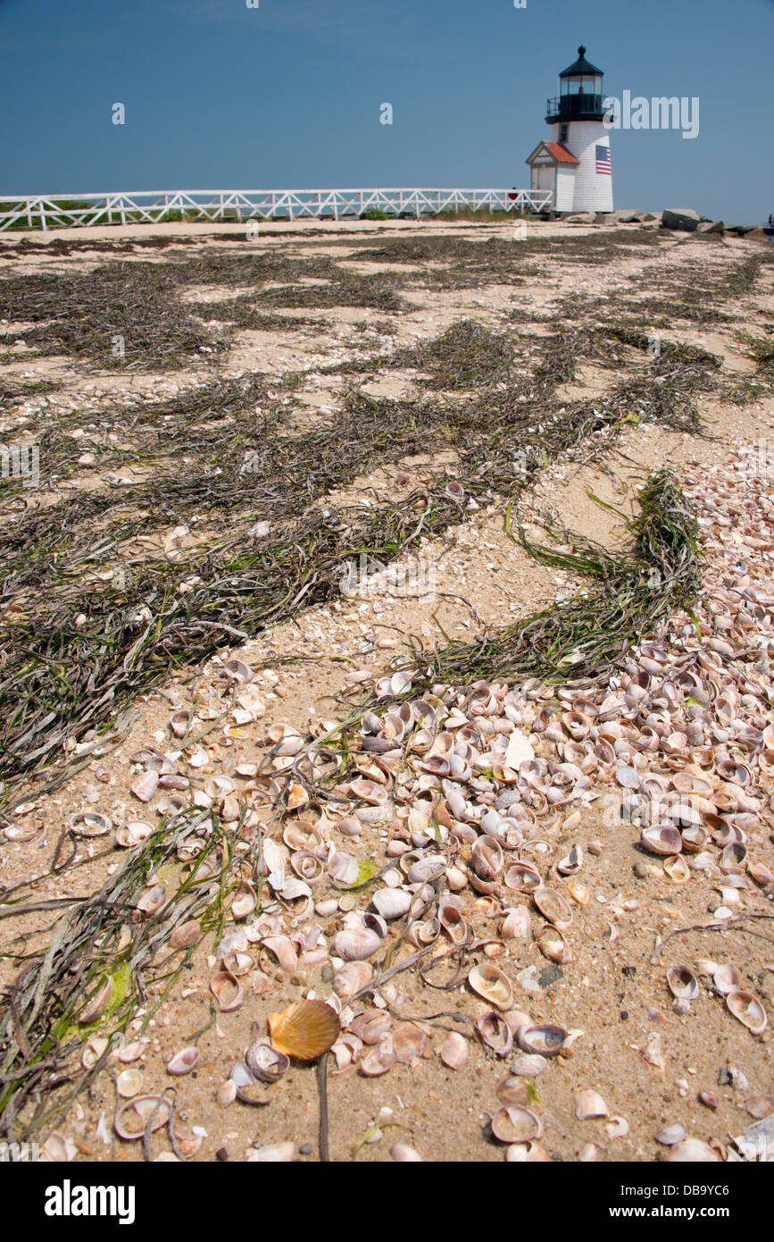Massachusetts, Nantucket. Shell covered beach in front of Brant Point ...