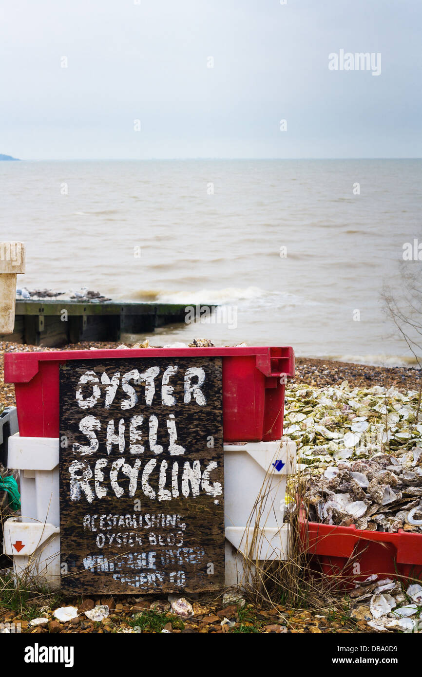 oyster shell recycling Stock Photo - Alamy