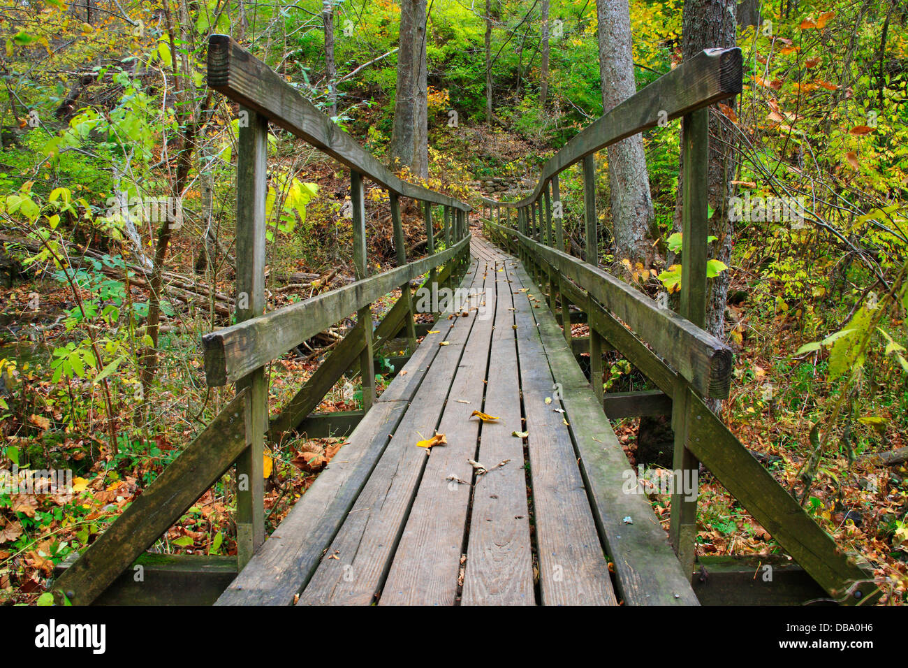 A Rickety Wooden Foot Bridge Over A Stream In Autumn, Glen Helen Nature ...