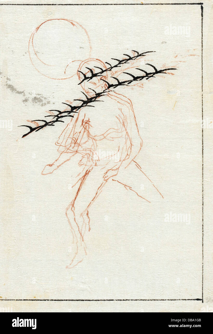 Detailed line drawings showcasing hi-res stock photography and images ...