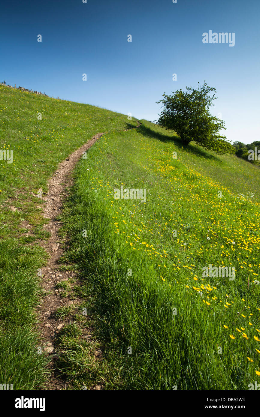 Narrow winding pathway hi-res stock photography and images - Alamy