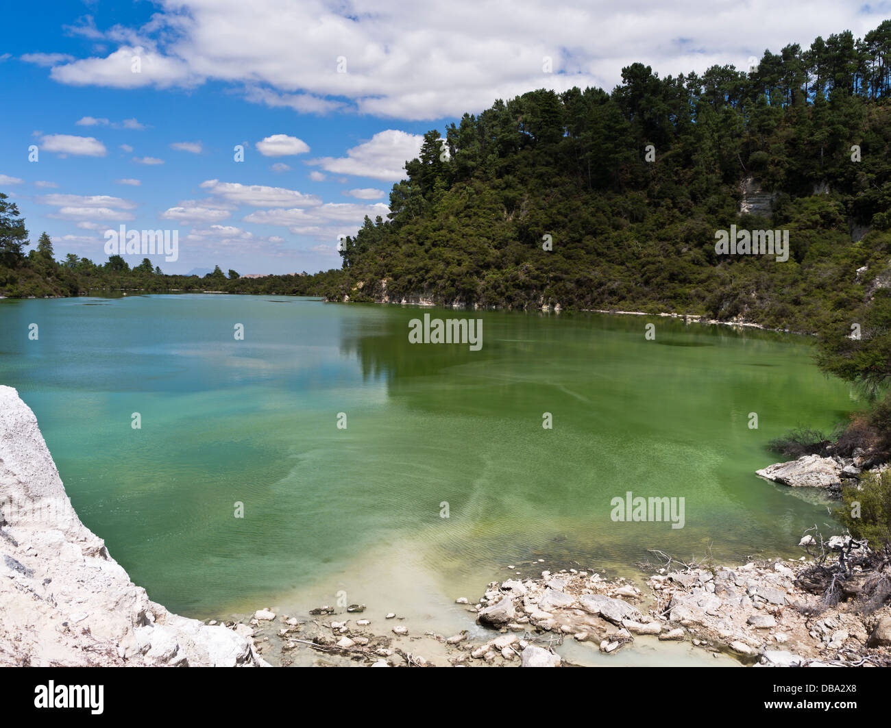 dh Wai O Tapu Thermal Wonderland WAIOTAPU NEW ZEALAND Green Lake ...