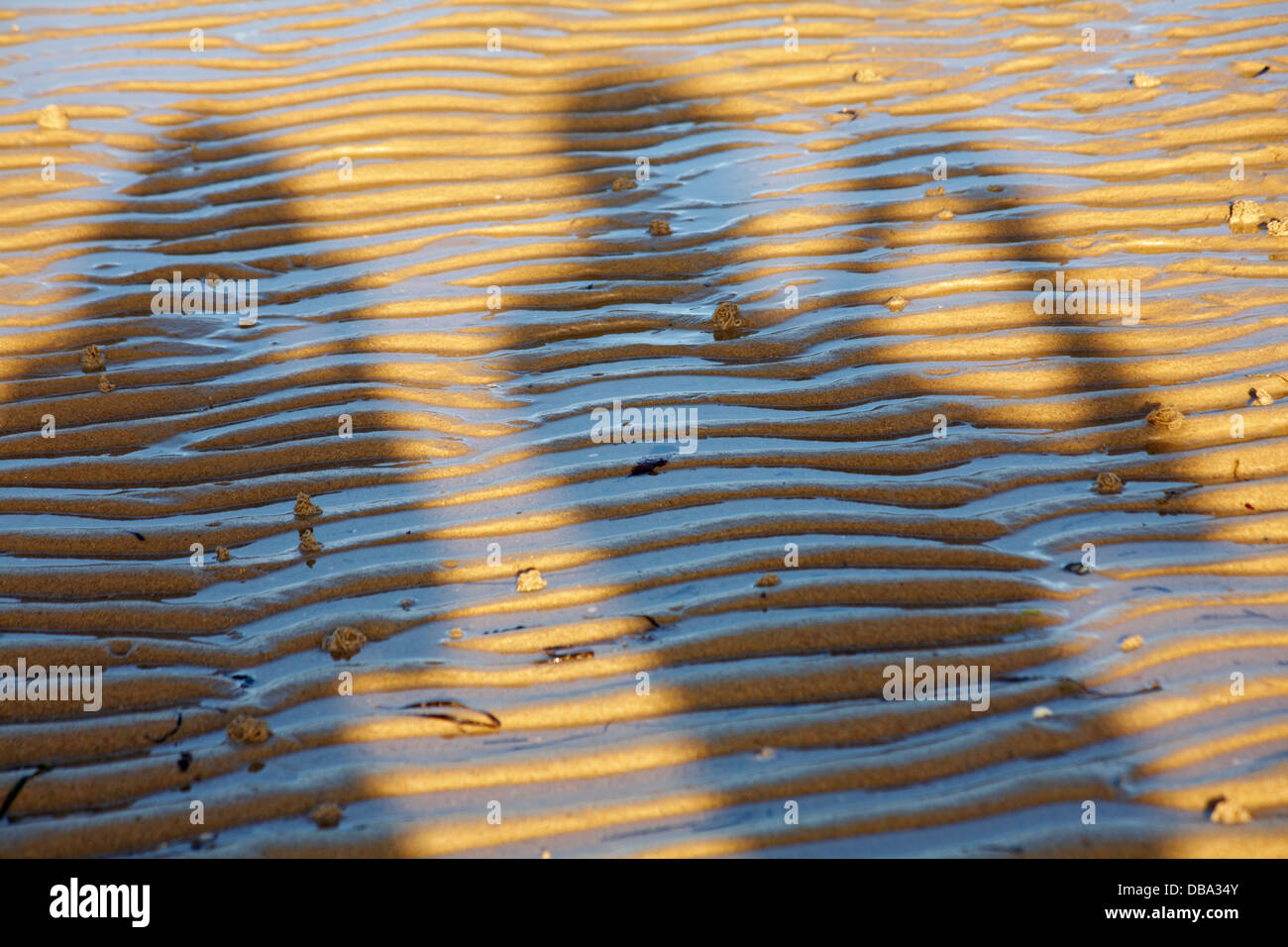 Shadows in the sand hi-res stock photography and images - Alamy