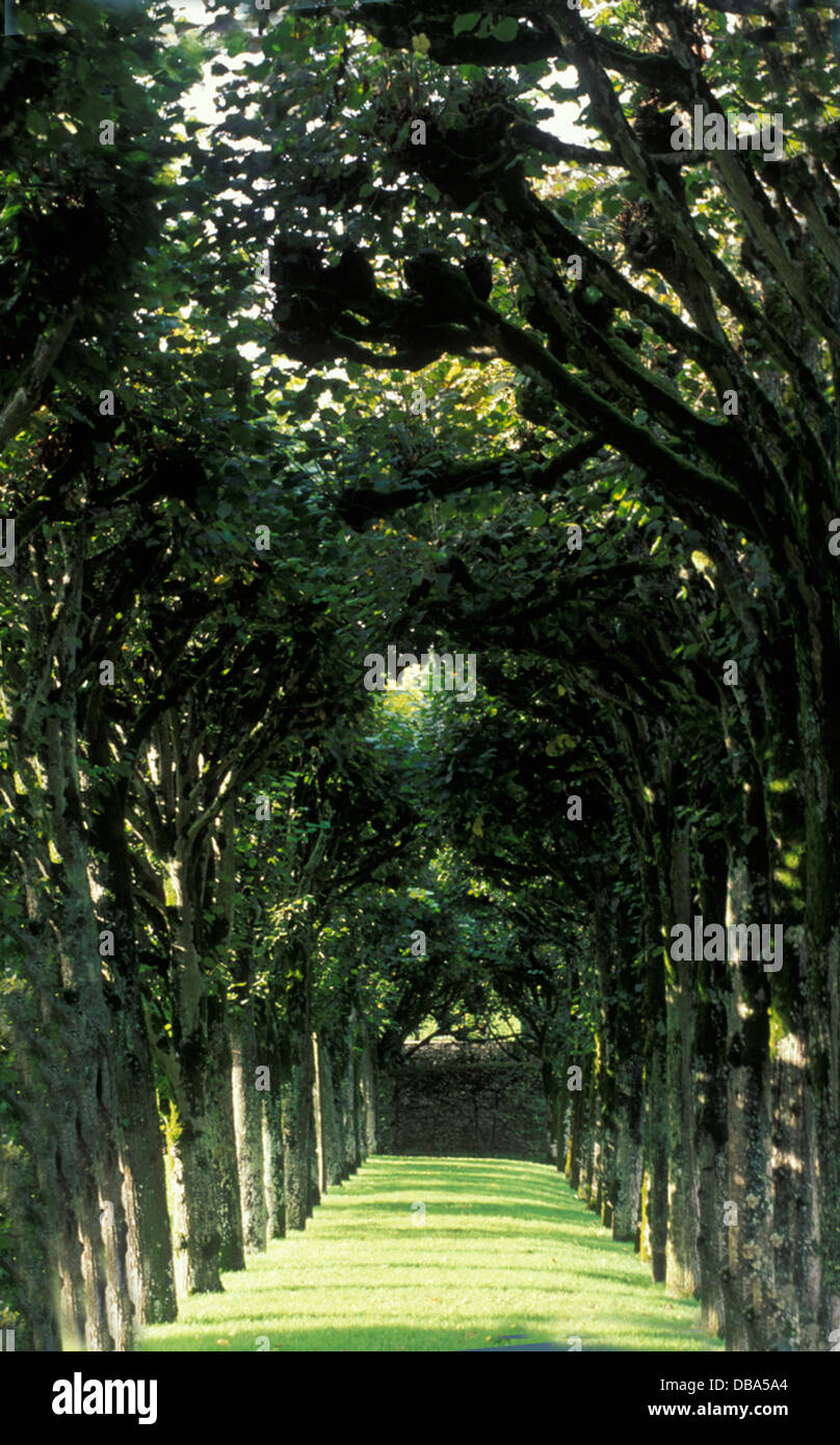Château Villandry Vine Arch Stock Photo - Alamy
