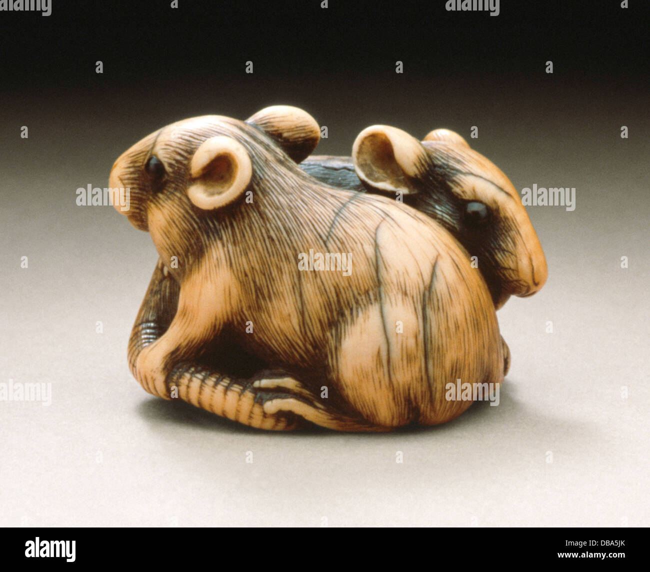 Rat egyptian hi-res stock photography and images - Alamy