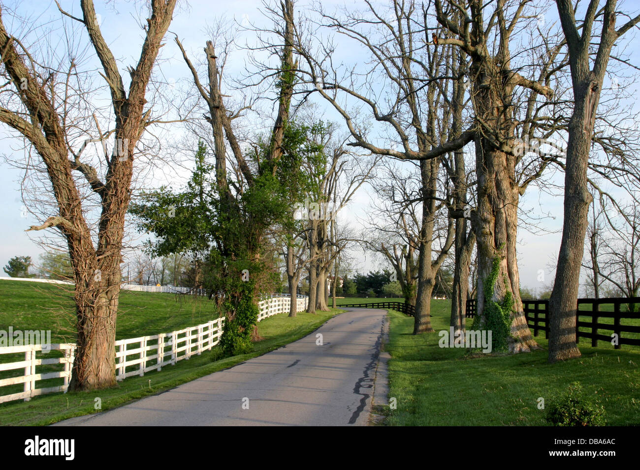 A Fence Line and Country Lane In Horse Country During Spring Near ...