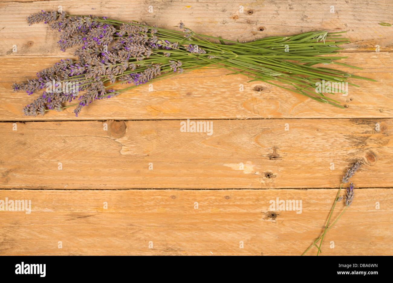 Bunch of lavender branches on a wooden background Stock Photo - Alamy