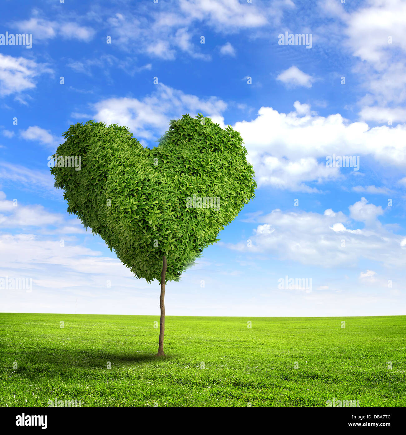Green grass heart symbol Stock Photo - Alamy