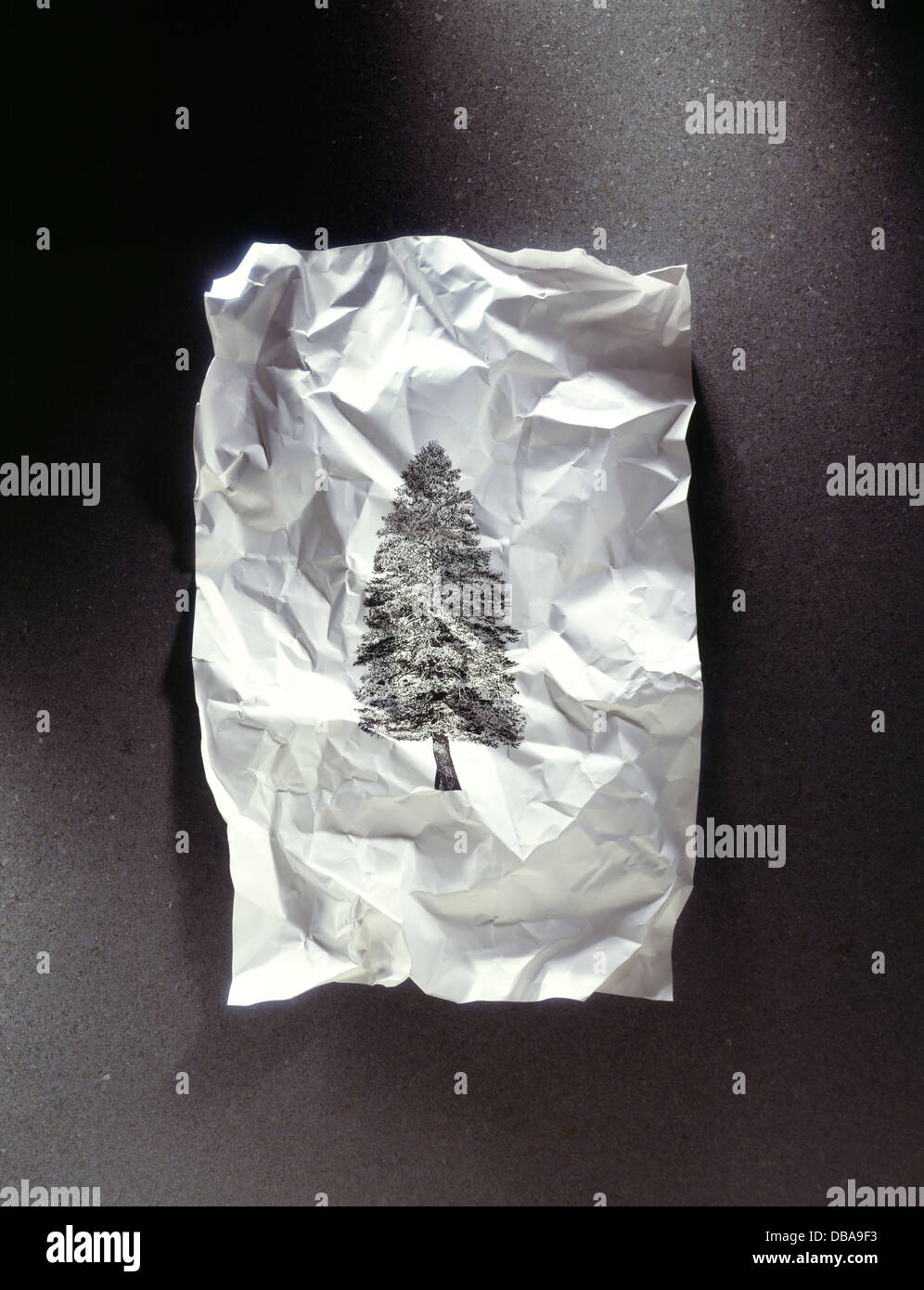 Paper tree hi-res stock photography and images - Alamy