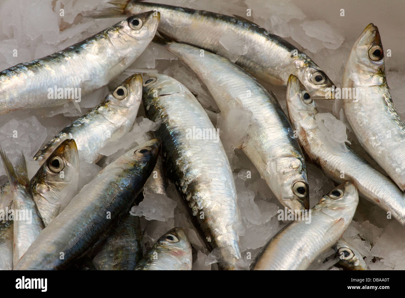 Maritime food hi-res stock photography and images - Alamy