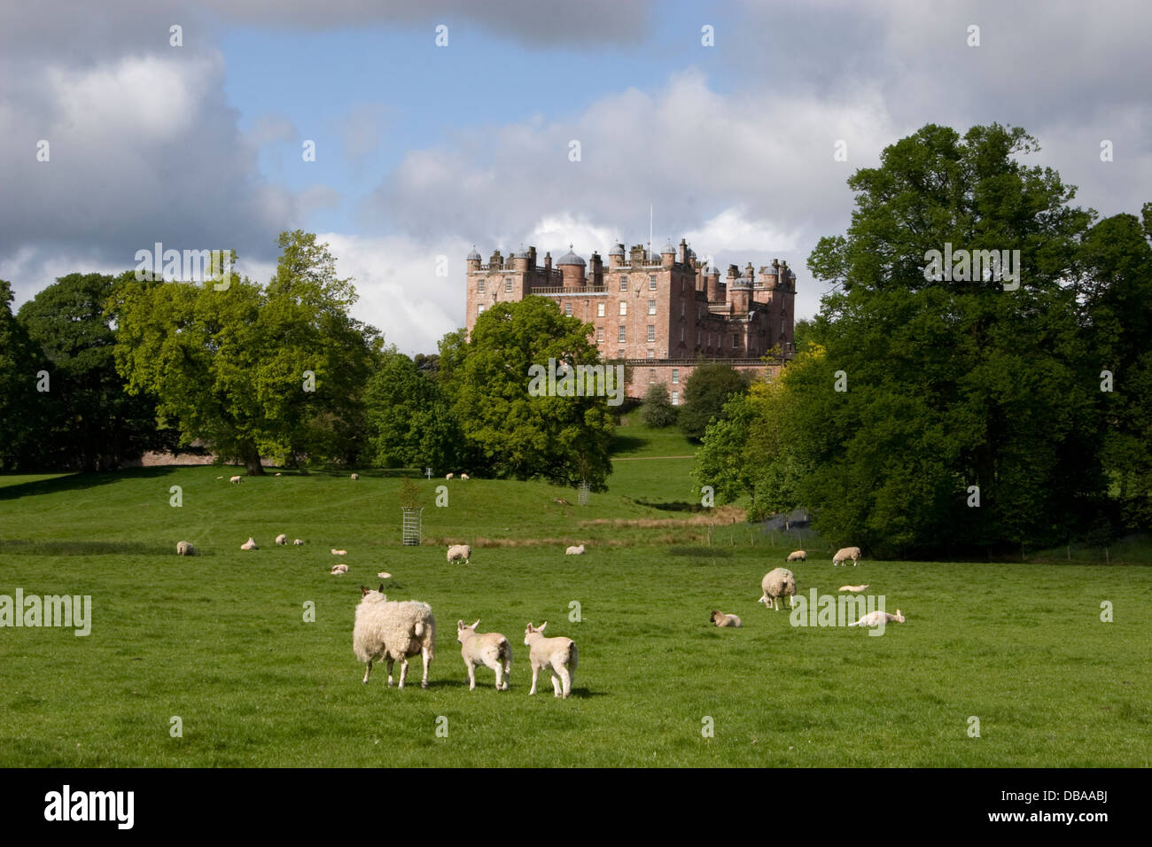 Drumlanrig Castle Grounds High Resolution Stock Photography and Images ...