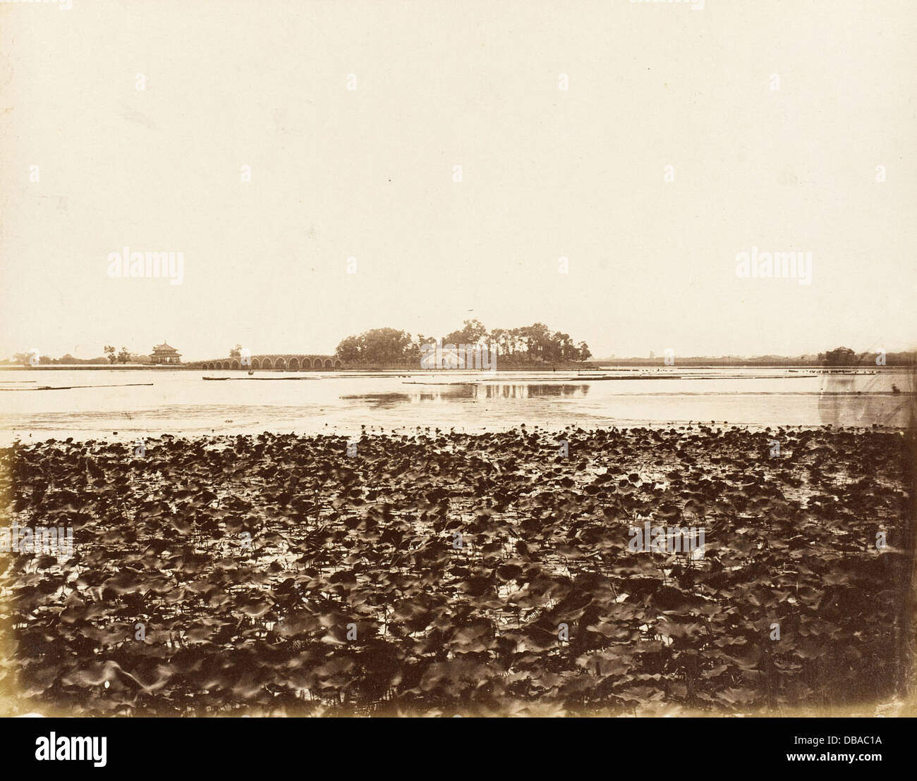 Ming yuan hi-res stock photography and images - Alamy