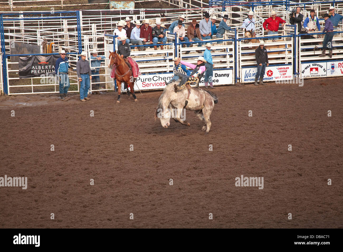 Wainwright Alberta High Resolution Stock Photography and Images - Alamy