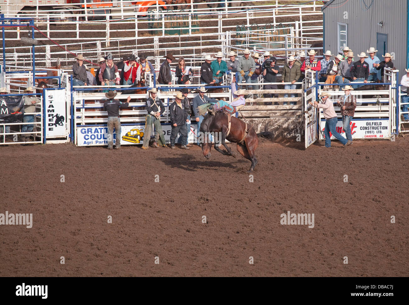 Wainwright Stampede, Wainwright, Alberta Stock Photo - Alamy