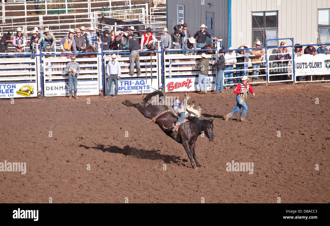 Wainwright alberta canada hi-res stock photography and images - Alamy