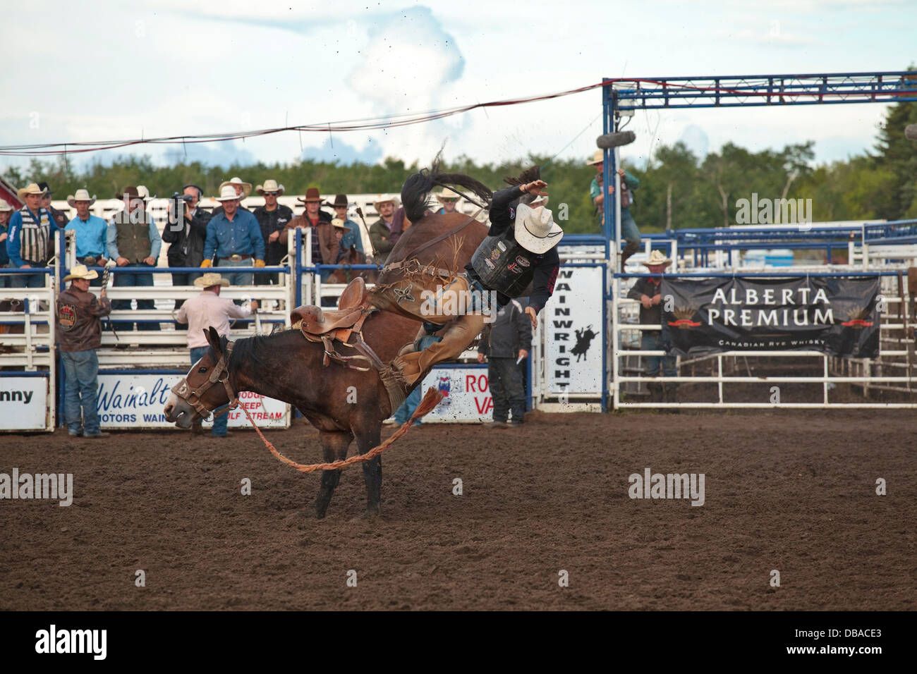 Wainwright Stampede, Wainwright, Alberta Stock Photo - Alamy