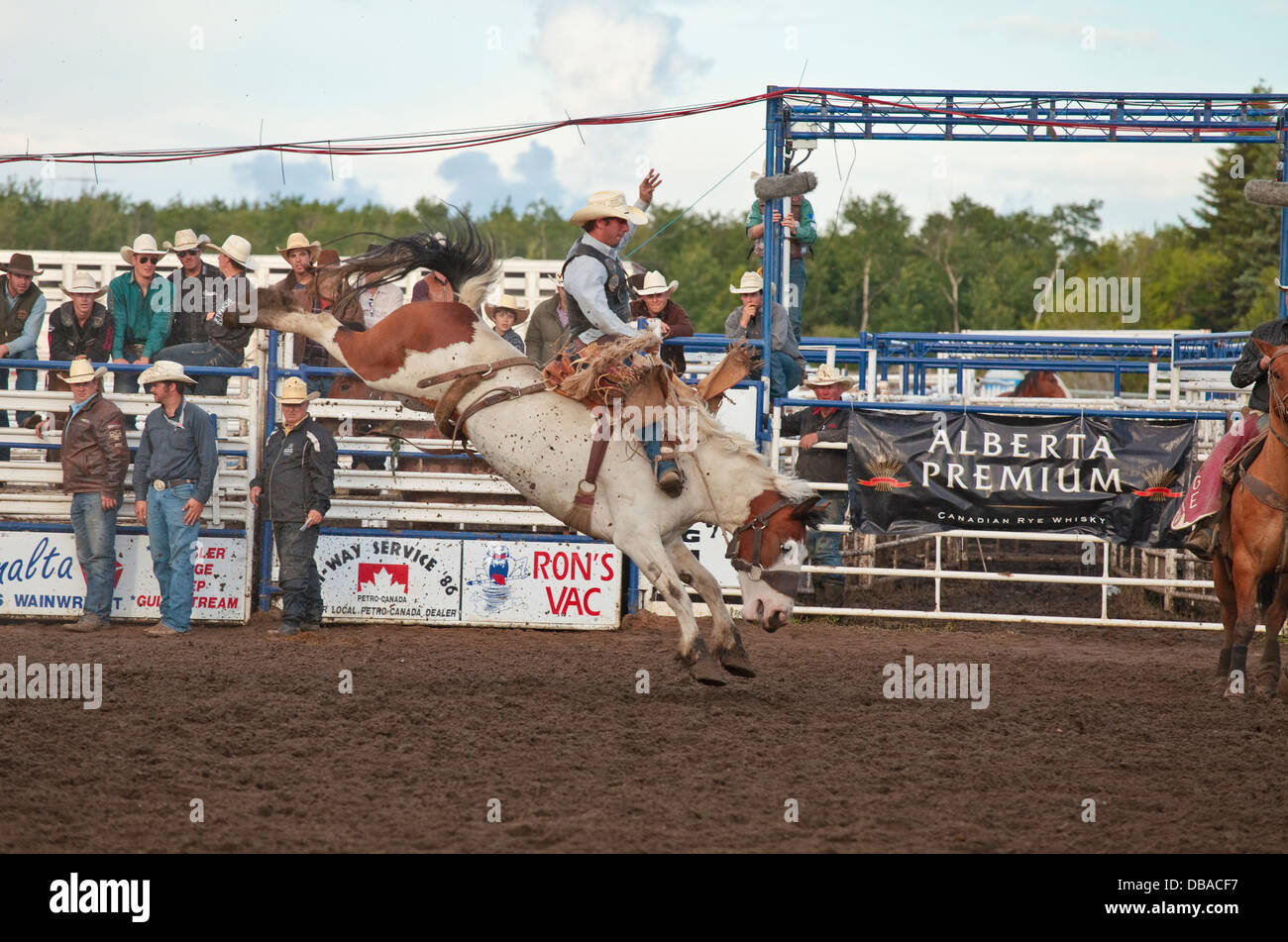 Wainwright alberta hi-res stock photography and images - Alamy