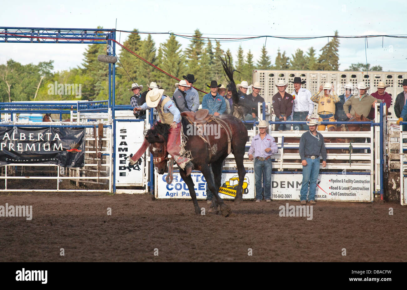 Wainwright Stampede, Wainwright, Alberta Stock Photo - Alamy