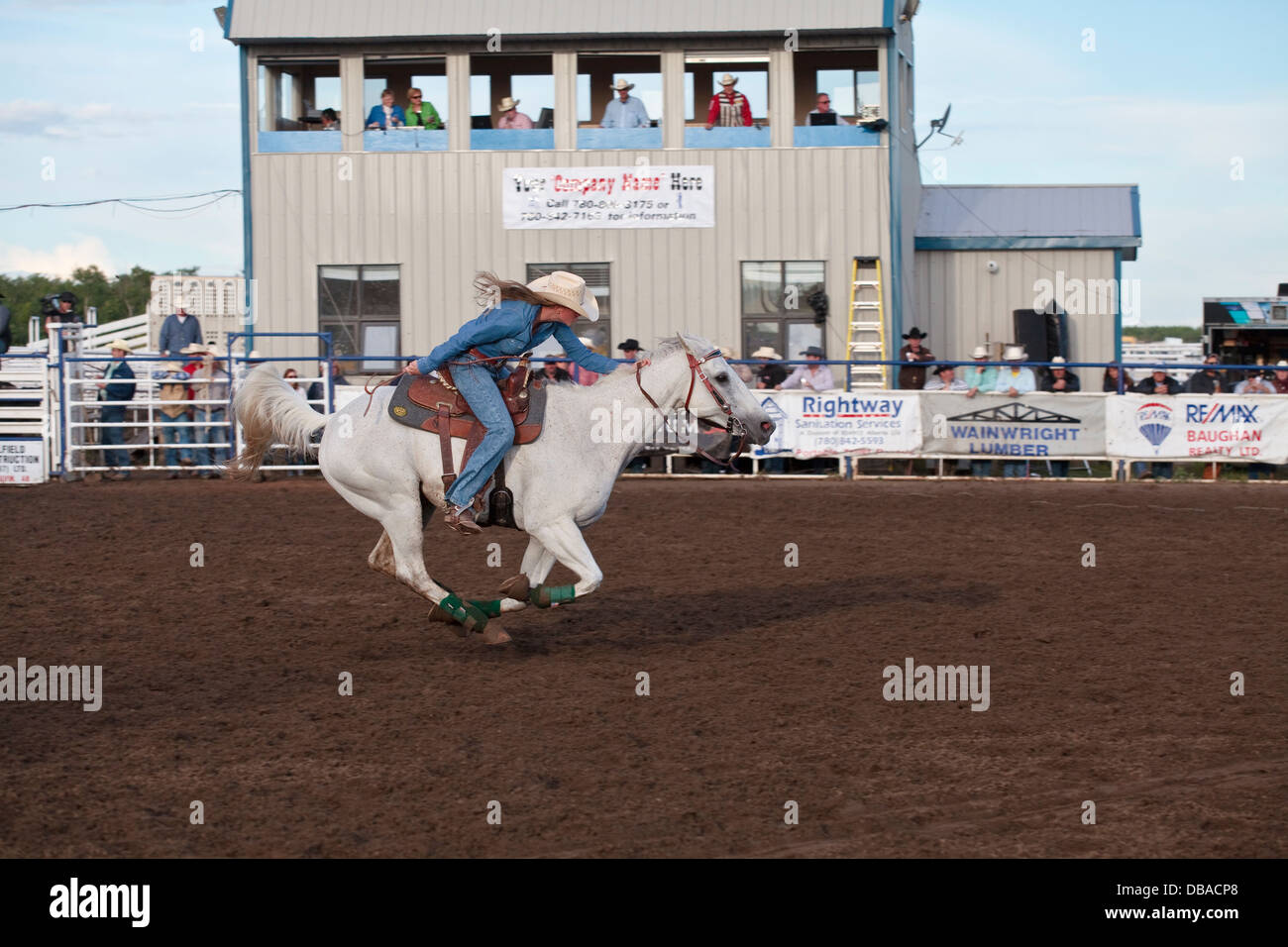 Wainwright alberta hi-res stock photography and images - Alamy
