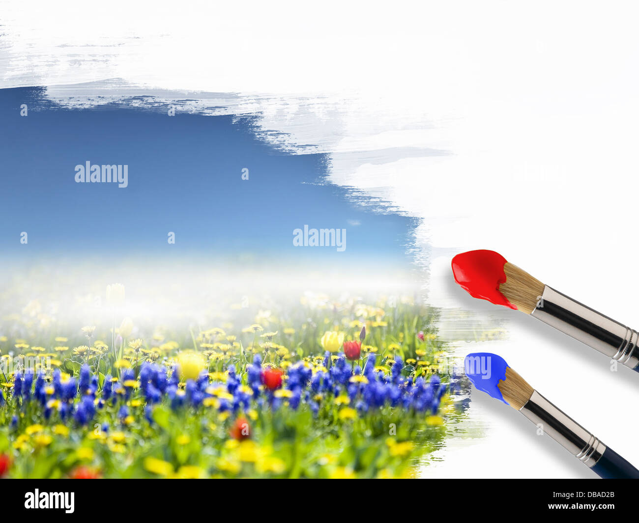 Paint brushes and landscape image Stock Photo - Alamy