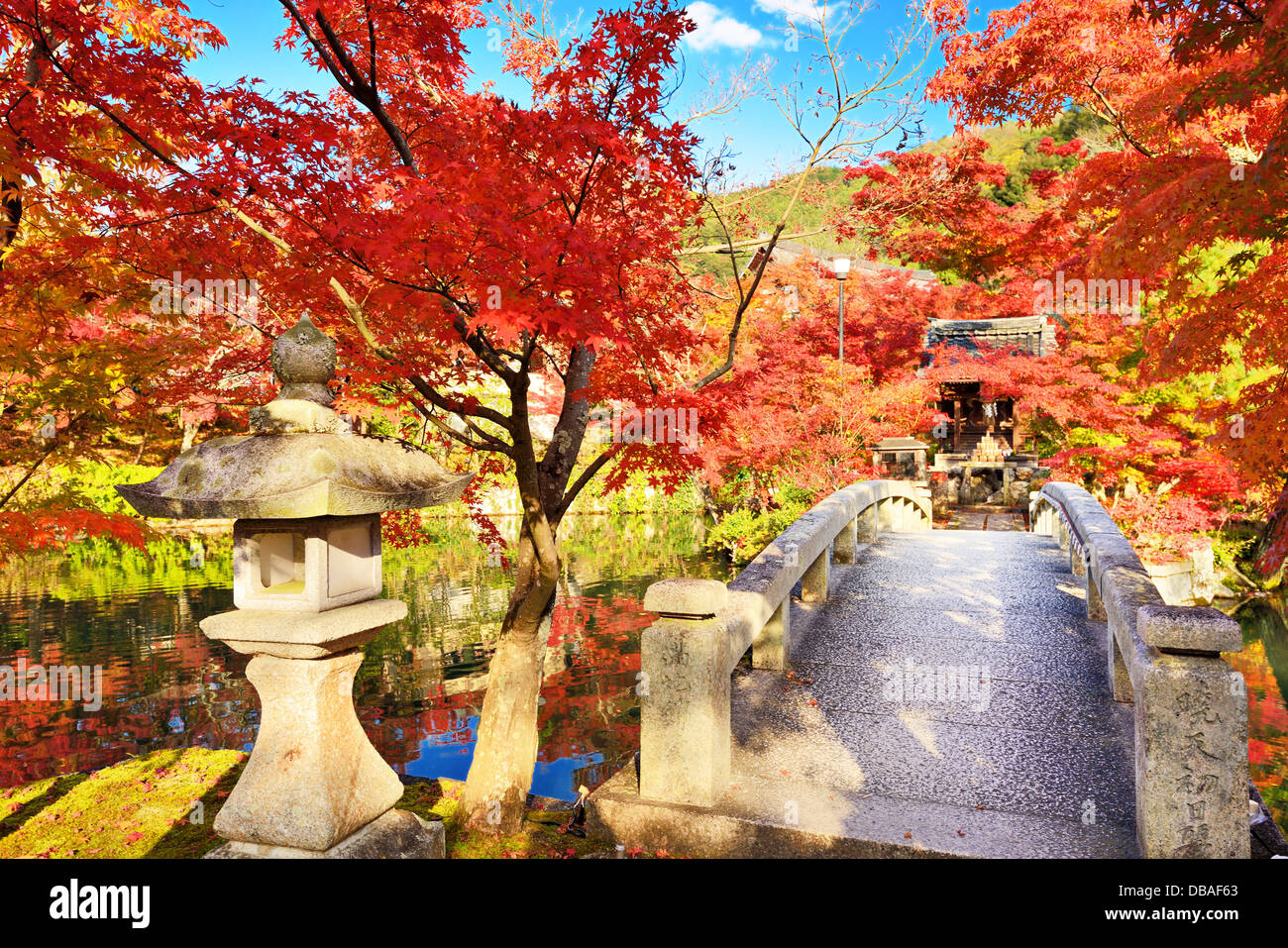 Fall foliage at Eikando Temple in Kyoto, Japan. 11/19 Stock Photo - Alamy