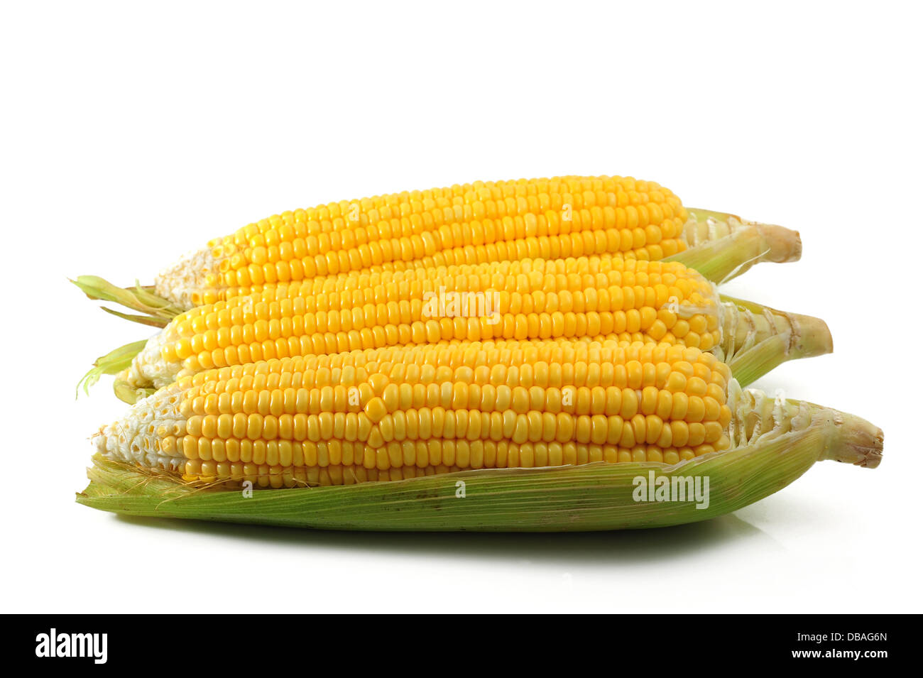 Crop corn Cut Out Stock Images & Pictures - Alamy