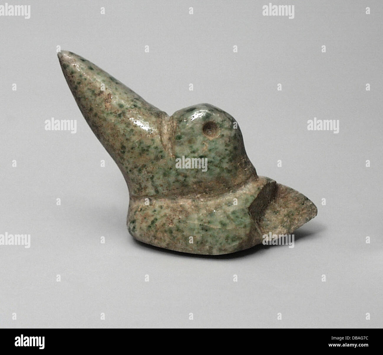 Seated bird hi-res stock photography and images - Alamy