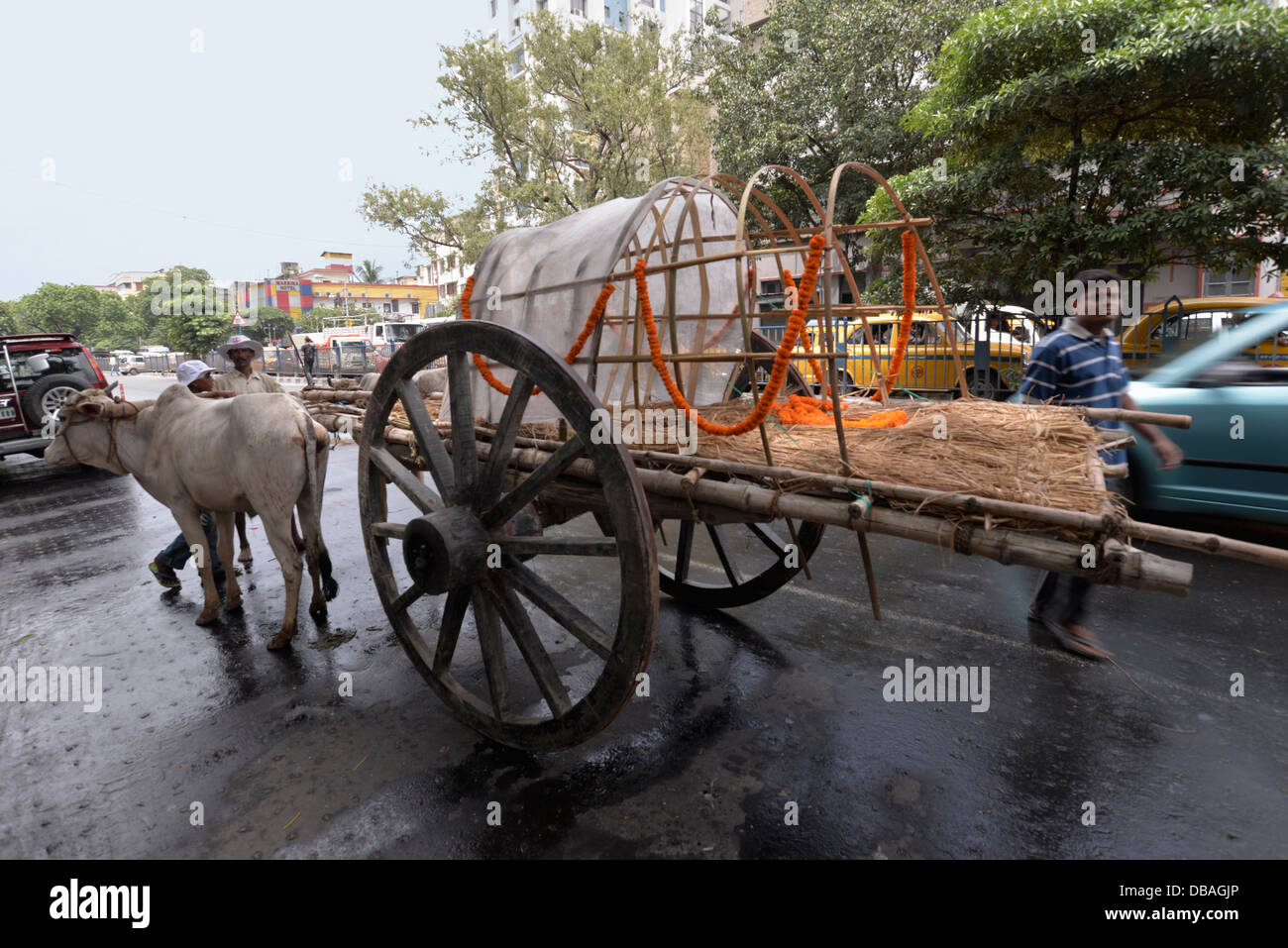 Car festival hi-res stock photography and images - Alamy