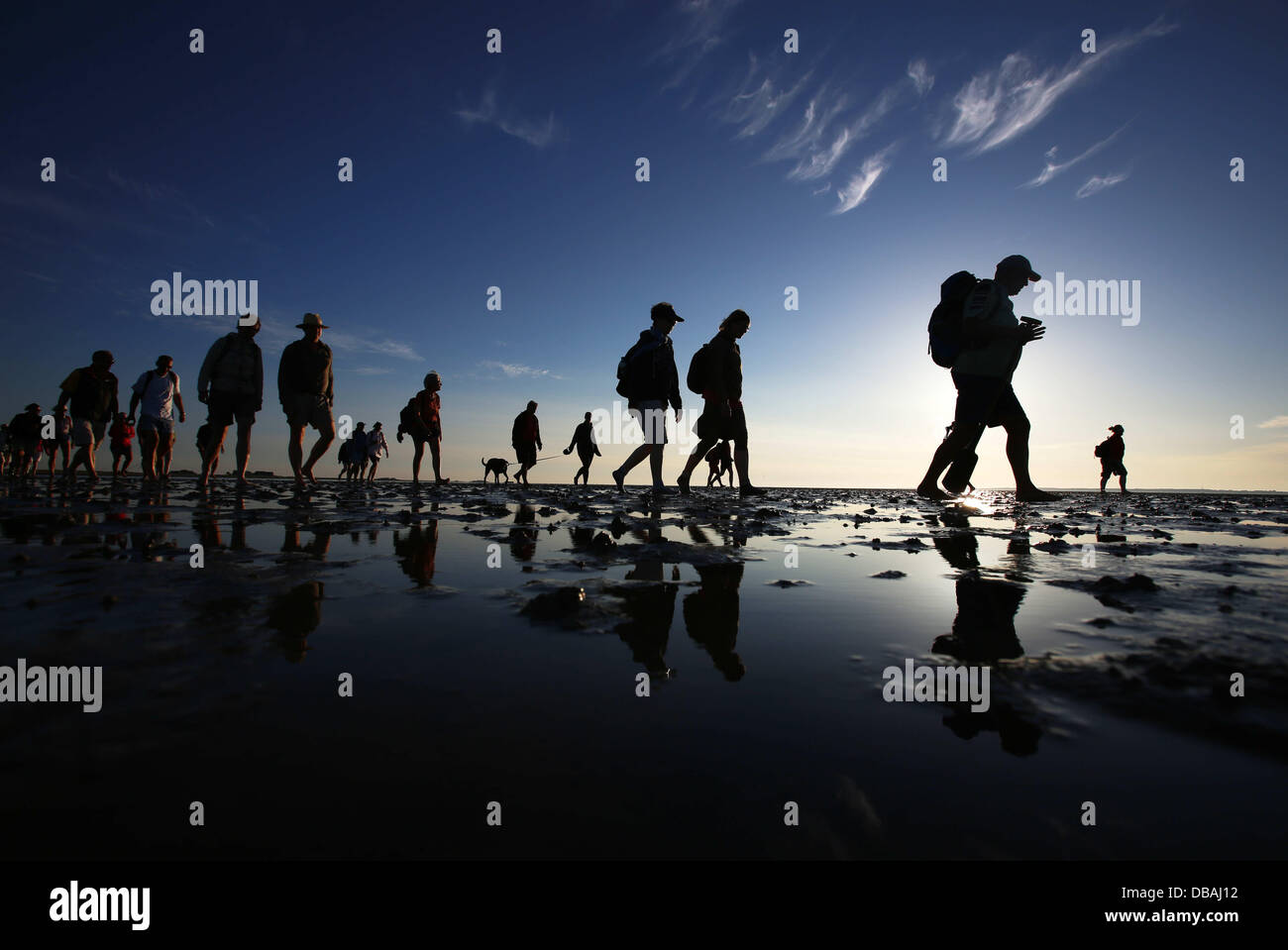 A group of mudflat hikers walk in the light of the full moon during a ...