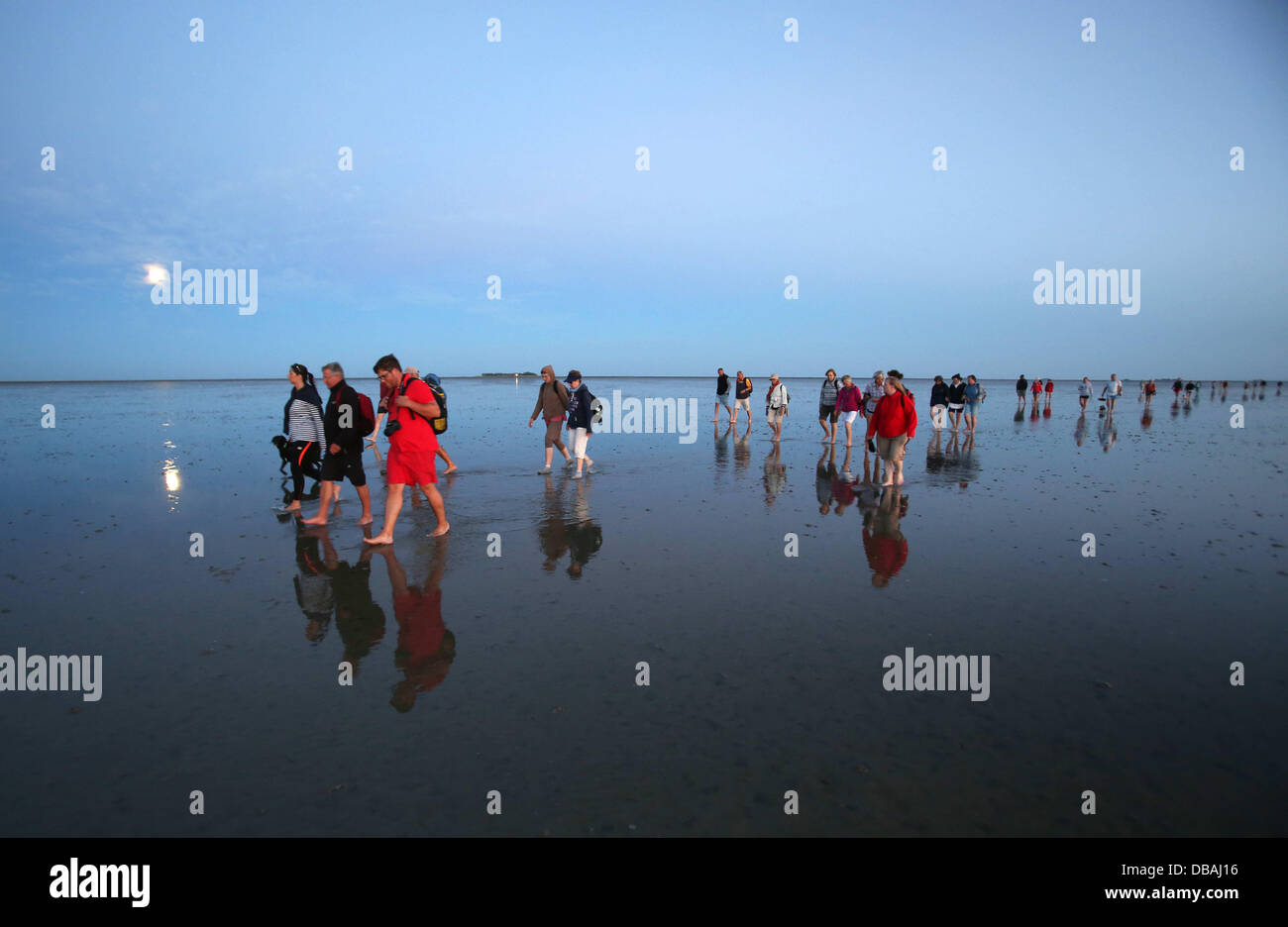 A group of mudflat hikers walk in the light of the full moon during a ...
